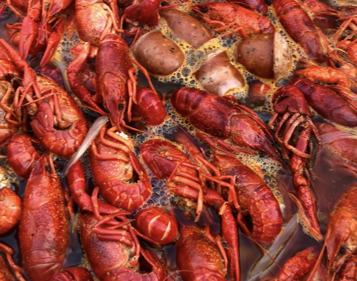 RI's Own Boil Bros Serving Up New Orleans Crawfish… | Go Local Prov
