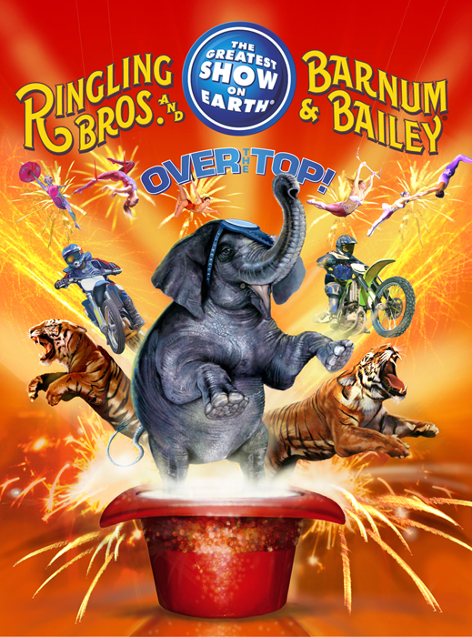 Biggest Circus Accidents in History | Go Local Prov