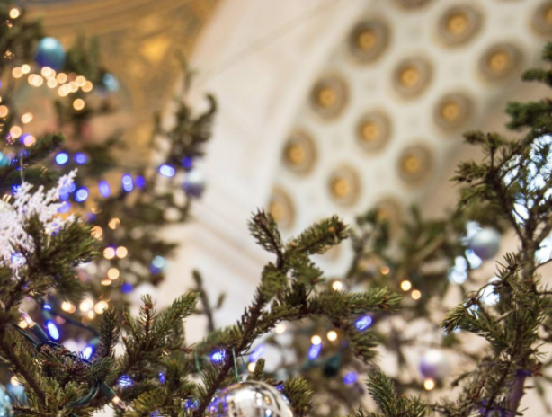 In RI, Another Year and Another Christmas Tree… | Go Local Prov