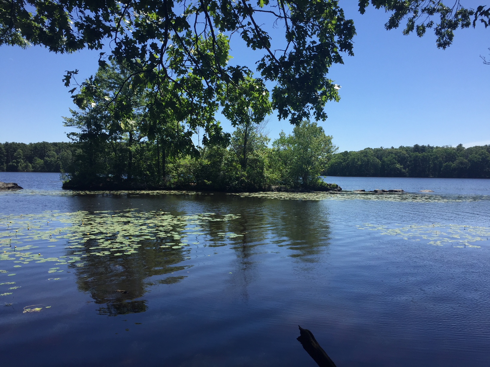Our Environment: "A Walk Along the Turner Reservoir… | Go Local Prov